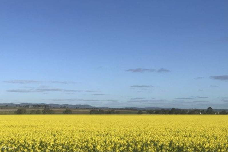 Barossa Valley Full-Day Wine Tasting Tour - Klook Philippines