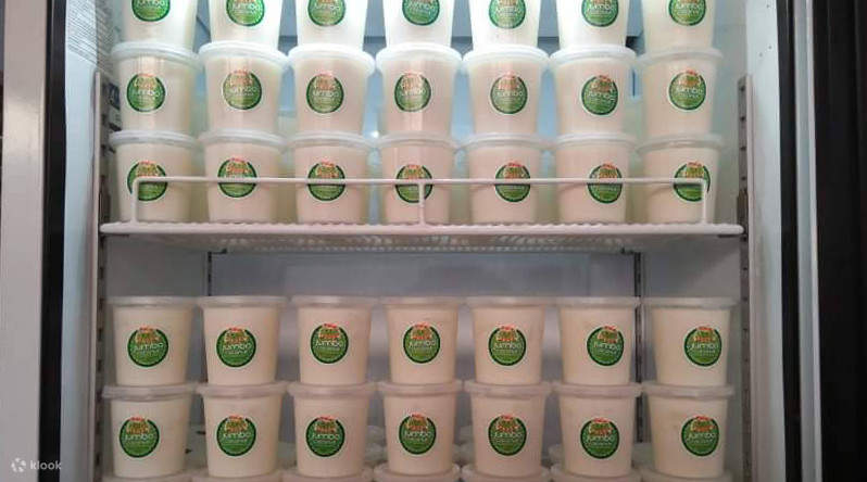 Coco Ready, Chiang Mai - Klook