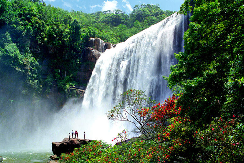 Zunyi Chishui Danxia Waterfall Foguangyan Private Group Day Tour - Klook