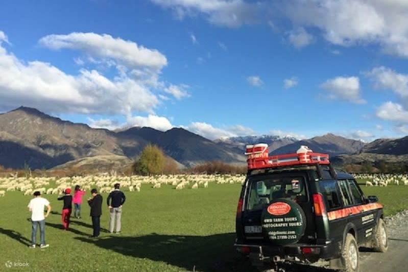 Wanaka Big Sky Safari Join In Walking Tour - Klook Singapore