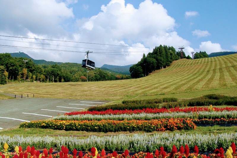 Zao Round Trip Ropeway & Bus Tickets Ticket in Yamagata - Klook