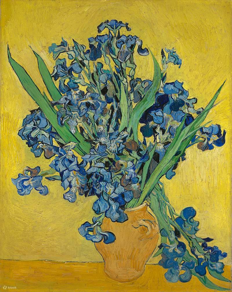 Immerse Yourself in the Genius of Van Gogh at the Van Gogh Museum in ...