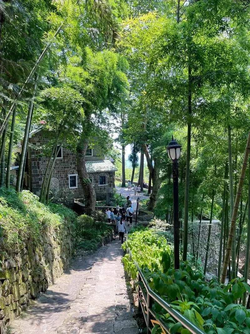 Tur Satu Hari Berpemandu Pribadi Gunung Mogan dari Hangzhou - Klook Indonesia