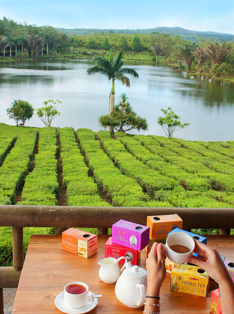 Discover Mauritius: The Tea, Rum, and Vanilla Route with Lunch and Pick ...