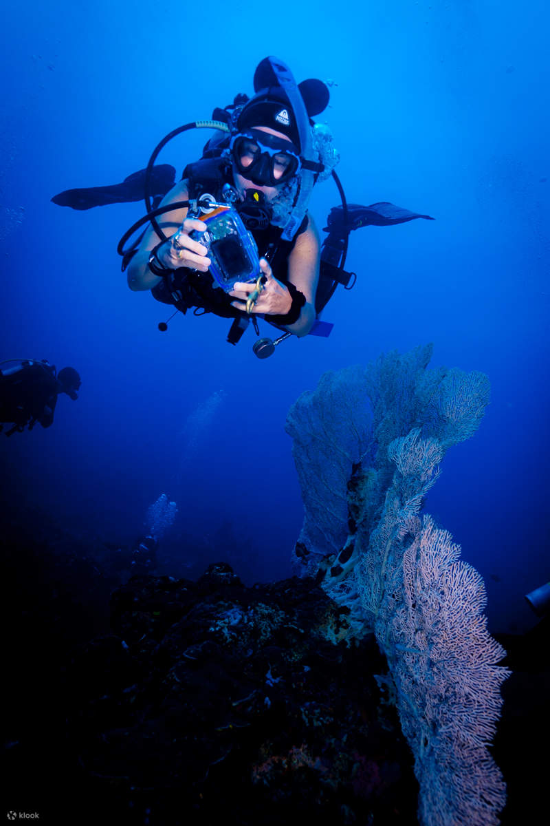 Dyk djupare: PADI Advanced Open Water Diver i Puerto Galera med PADI 5 ...