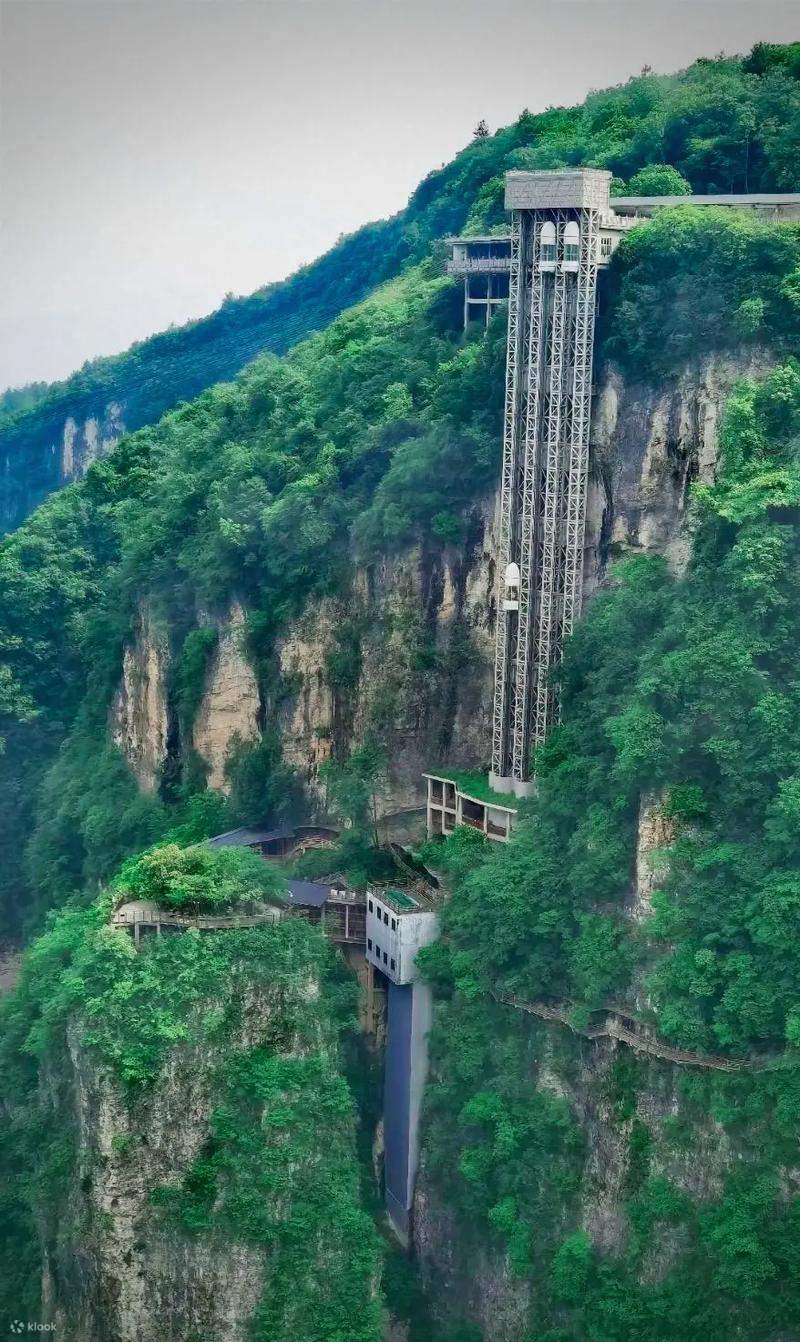 Hunan Zhangjiajie Grand Canyon Glass Bridge Canyon Adventure Day Tour ...