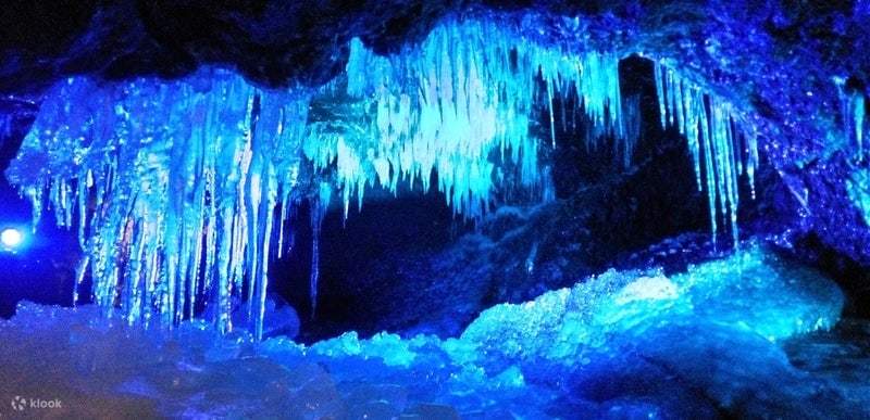 Mount Fuji Ice Cave & West Lake Healing Regan Field & Flower Fuji Oishi ...