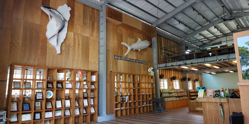 Tainan｜Tour del museo a tema Milkfish ed esperienza fai-da-te con la ...