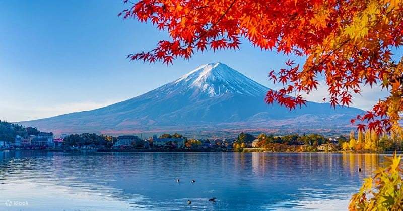 Tour di un giorno alla Grotta di ghiaccio del Monte Fuji e al Campo ...