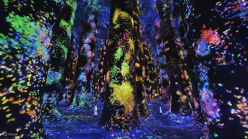 teamLab Phenomena Abu Dhabi Ticket - Klook Stati Uniti