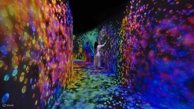 teamLab Phenomena Abu Dhabi Ticket - Klook