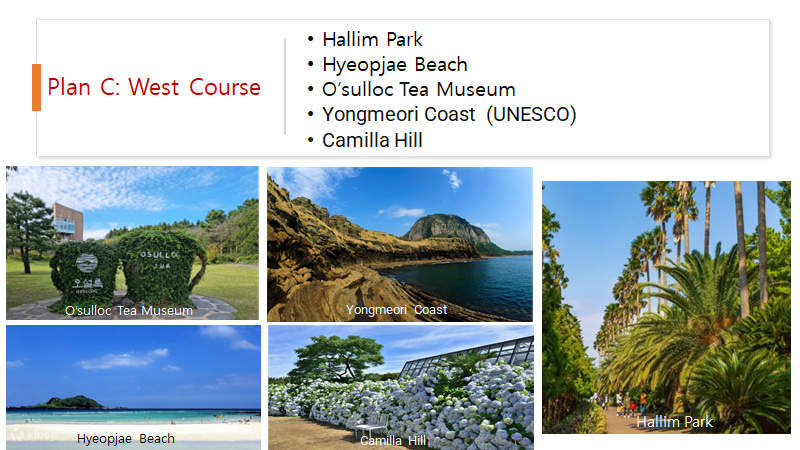 Jeju Private VIP Day Tour - Klook