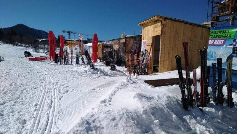 Bakuriani ski resort and the legendary Borjomi (Group Tour) - Klook ...