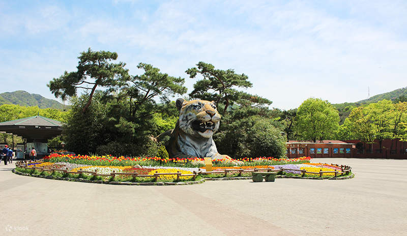 Seoul Zoo Ticket in Gyeonggi-do, South Korea - Klook