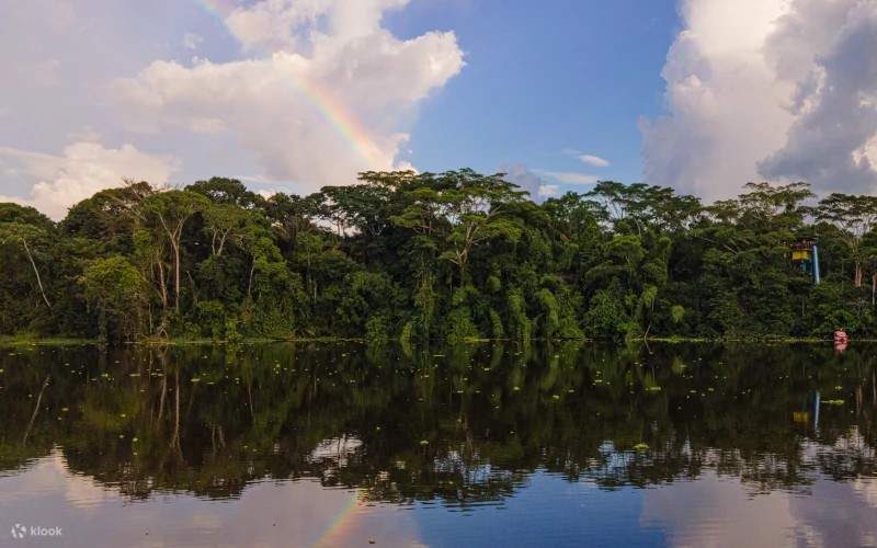 Immerse in Nature: Manu Wildlife Peru Tour - 5 Days of Amazon Discovery ...