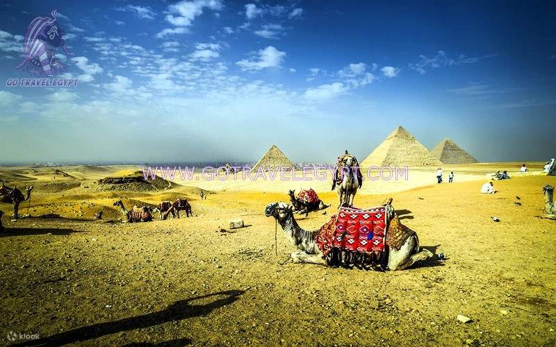 Pyramids and Sphinx private tour, entering to pyramid and camel ride ...