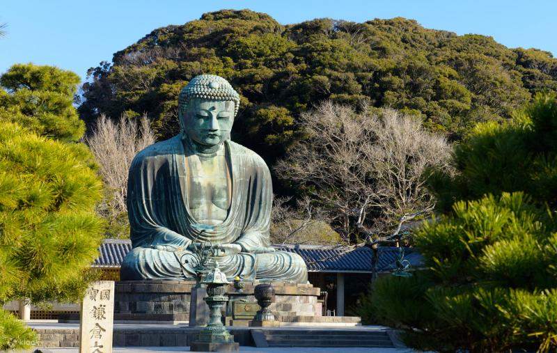 Kamakura High School, Tsuruoka Hachimangu Shrine, and Enoshima Day Trip ...