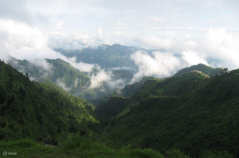 Mussoorie Nature Walk - Uttarakhand, India - Klook Estados Unidos