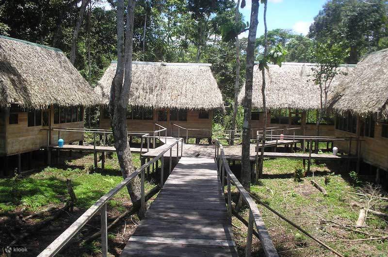 Immerse in Nature: 6 Days Manu Reserved Zone Tour for Unforgettable ...