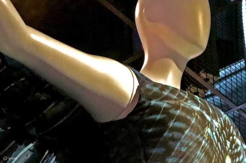 The Hunger Games Exhibition Ticket in Las Vegas - Klook