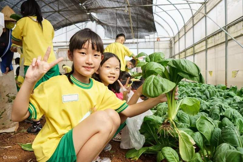 타오위안 | Formosa Plastics Yangmei Organic Ecological Farm | 농장 투어, 과일 및 ...