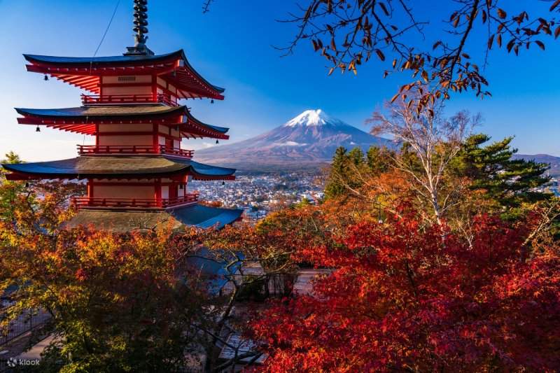 Gita di un giorno per scattare foto del Monte Fuji IG! Parco ...