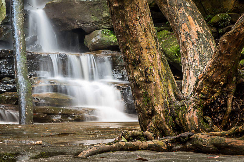 Central Coast Waterfalls And Nature Photography Experience by Picture ...