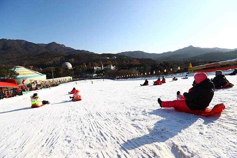 Seoul Land & Seoul Grand Park Round-Trip Shuttle + Admission Tickets ...