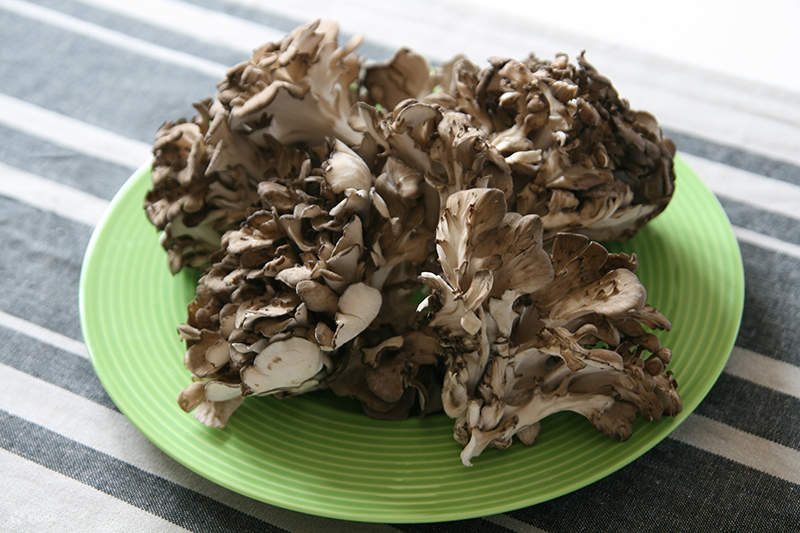 Ikaho Onsen Stone Stairs, Gunma Maitake Center, Kichijoji One-day Bus ...