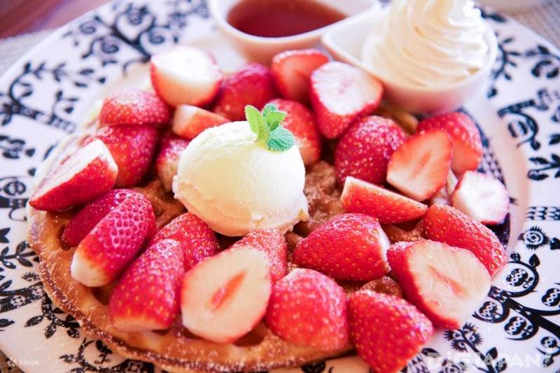 Tochigi Wisteria Festival, Ashikaga Orihime Shrine Seven-Colored Torii ...