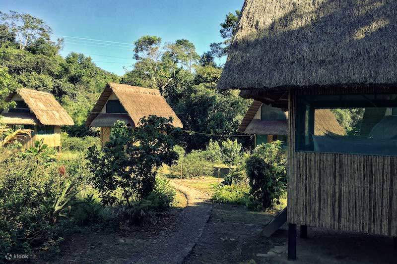 Immerse in Nature: 6 Days Manu Reserved Zone Tour for Unforgettable ...