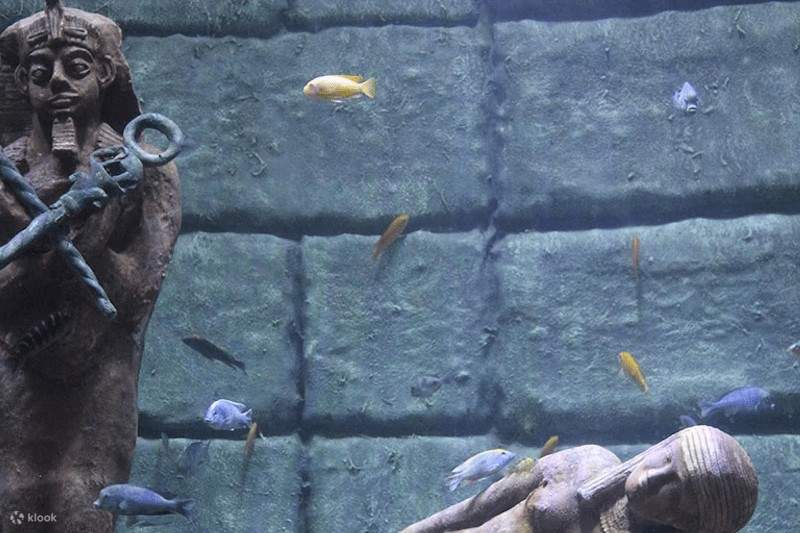 安塔利亞水族館和 Face 2 面部蠟像博物館門票 Klook 客路