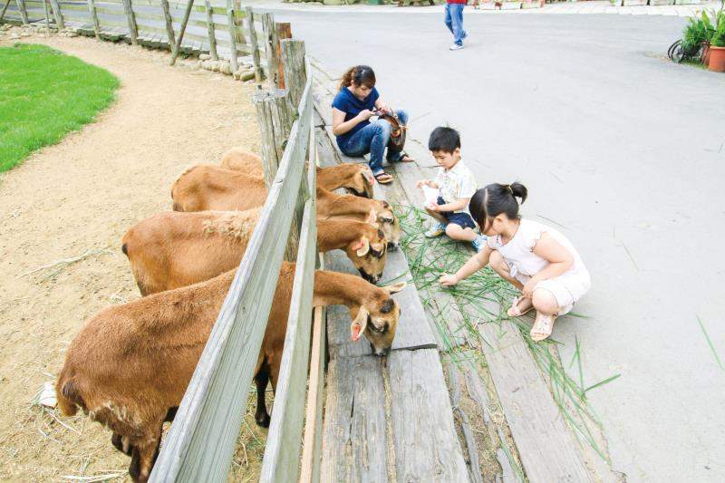 Taiwan High Speed Rail Ticket｜Miaoli｜Flying Cow Ranch Admission Ticket ...