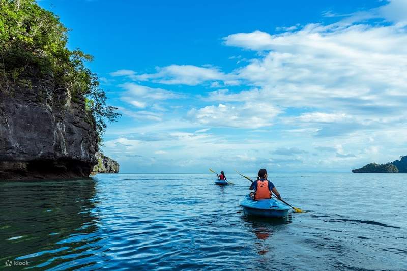 Mangrove Kayaking Tour with Transfers and Meal in Langkawi - Klook Malaysia