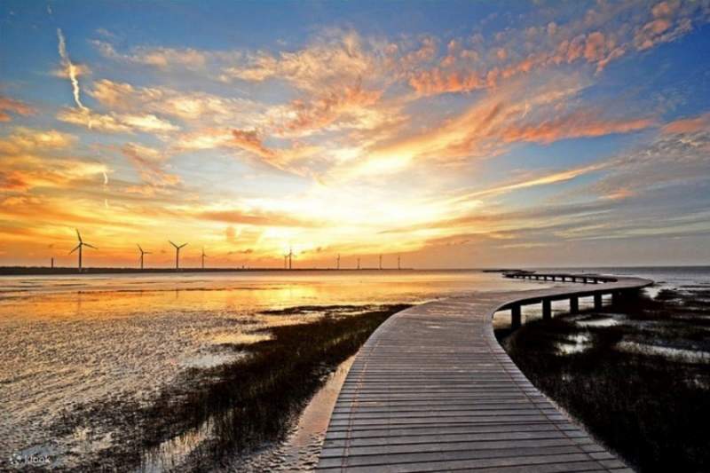 Taichung: Gaomei Wetlands Day Tour - Klook Singapore