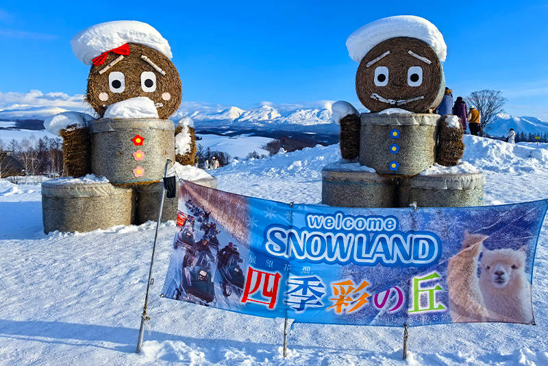 [Hokkaido Summer Hot Spots] Patchwork Road Seven Star Tree & Shikisai ...