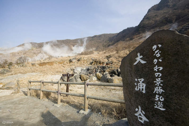[Mount Fuji, Hakone, Kawaguchiko, and Flower Viewing] 7-11 Convenience ...