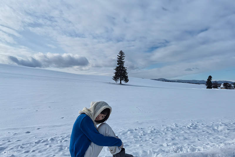 Asahikawa Zoo & Biei Instagram-worthy Tree & Shirogane Falls & Ningle ...