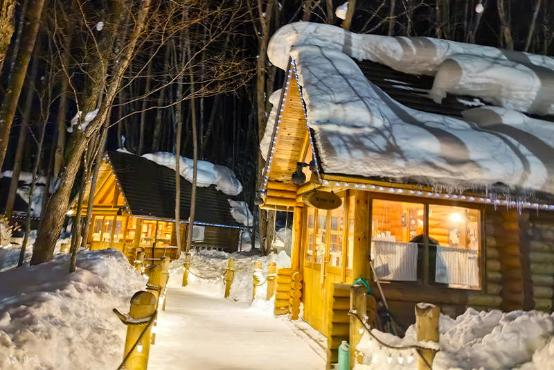 One-day tour to Asahikawa Zoo & Internet celebrity Biei Tree & Shirasu ...