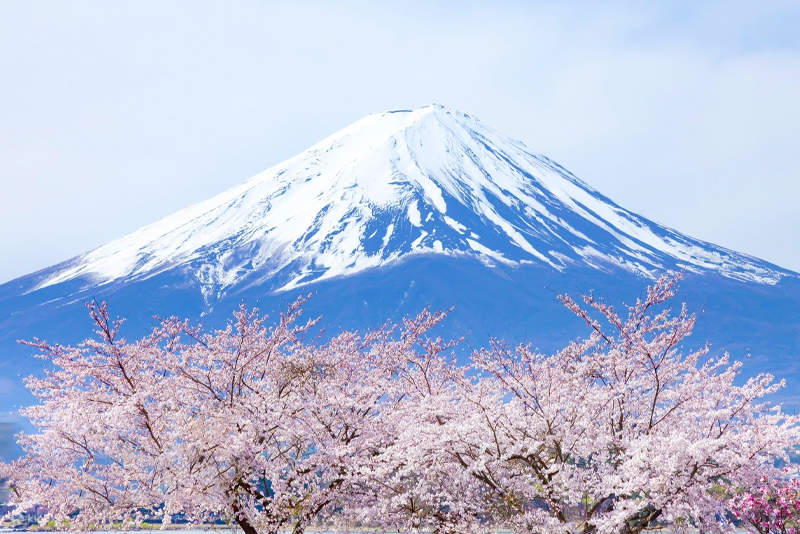 6 beautiful photos of Mount Fuji, a one-day tour, watching swans on the ...