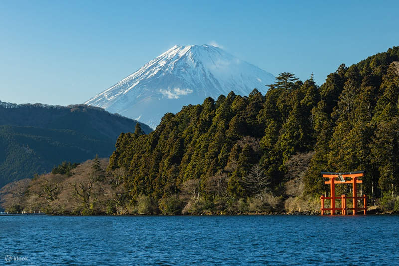 [Mount Fuji, Hakone, Kawaguchiko, and Flower Viewing] 7-11 Convenience ...