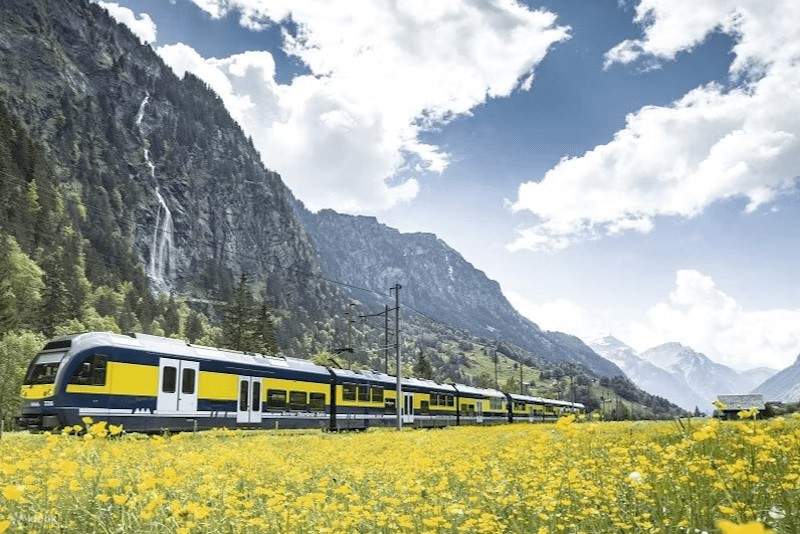 Grindelwald First Join In Day Landmark Tour from Lucerne - Klook