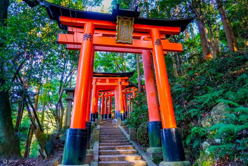 One-day tour to Kiyomizu Temple, Fushimi Inari Taisha Shrine and Nara Park - Klook