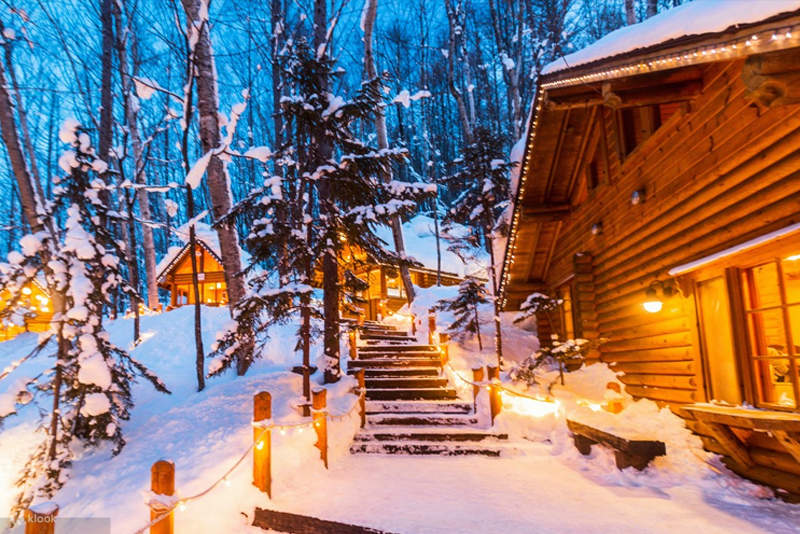 Asahikawa Zoo & Instagram-worthy Biei Tree & Shirahige Falls & Ningle ...