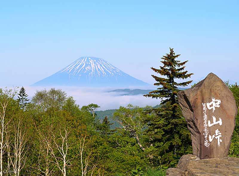Depart from Sapporo｜Fuji, Nakayama Pass, Shibazakura Fields and Lake ...