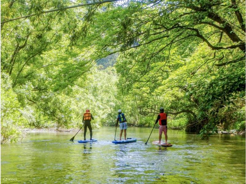 The Niyodo blue river experience SUP adventure in Kochi - Klook United ...