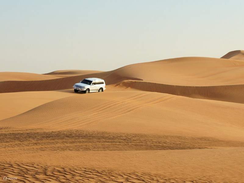 4 Hour desert safari Join In Landmark Tour from Doha - Klook