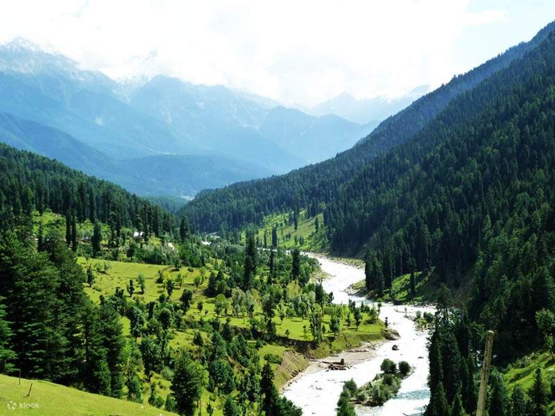 Srinagar: Pahalgam Day Trip with Saffron Farm & Apple Valley - Klook India
