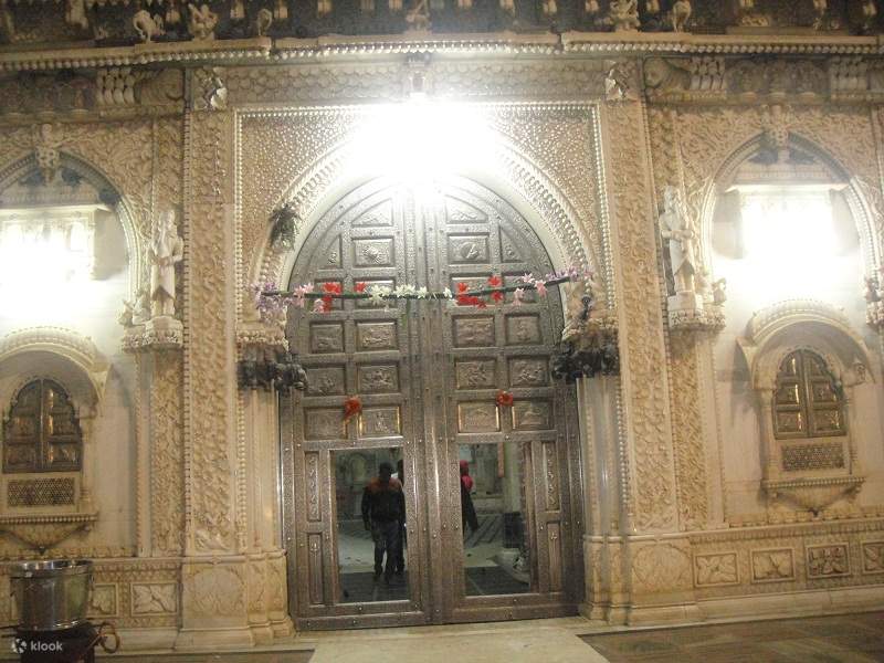 See Camel Centre, Rat Temple from Jodhpur & Bikaner Drop with Guide - Klook