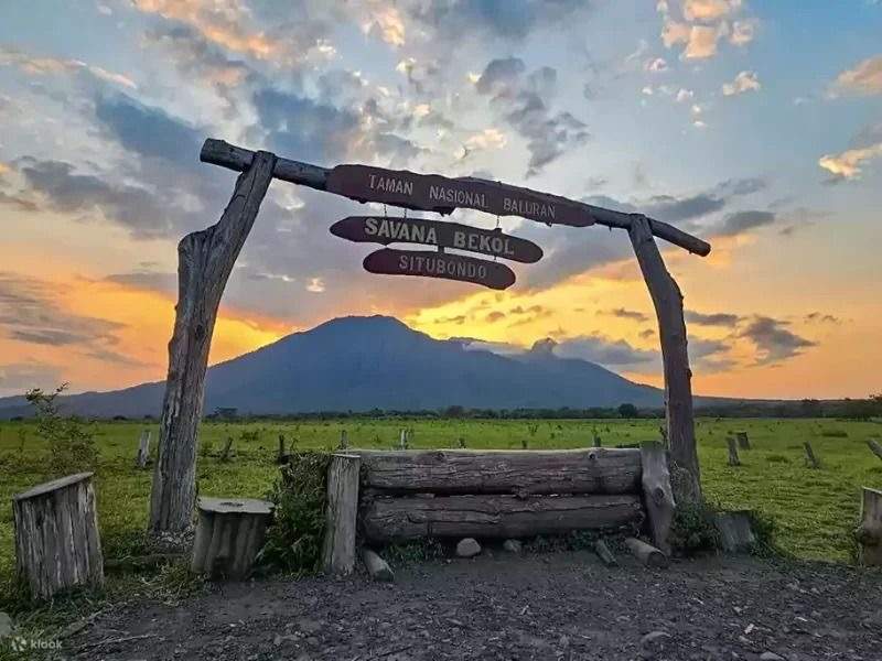 Tabuhan Island, Baluran National Park, Bama Beach Tour in Banyuwangi ...
